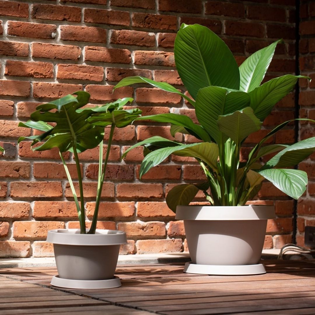 Phoenix Outdoor GRO Flowerpots with tray Small 4L — The Home Shoppe