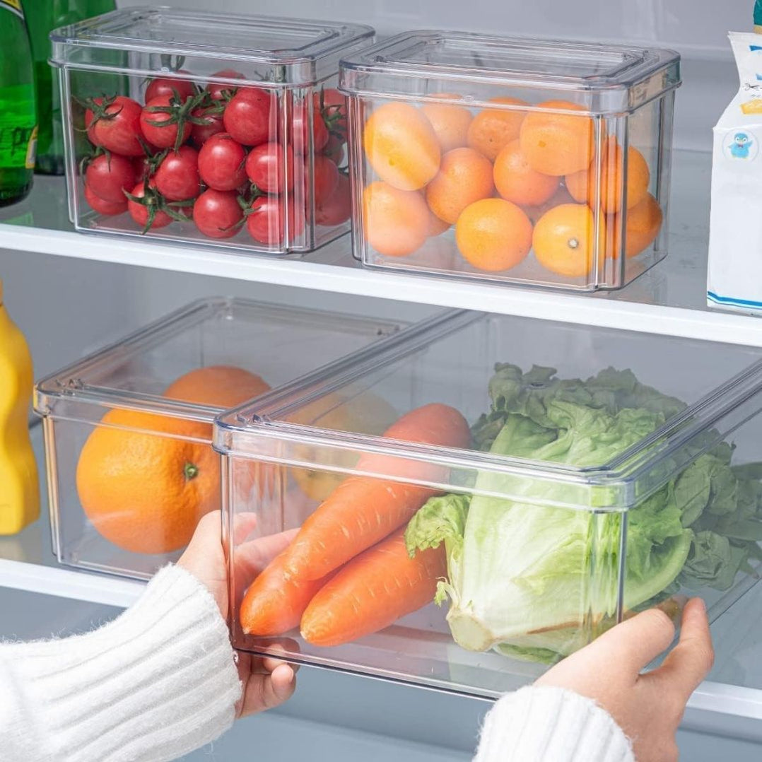 Terrafresh STORE IT Fridge Food Storage Organiser Box with lid ...