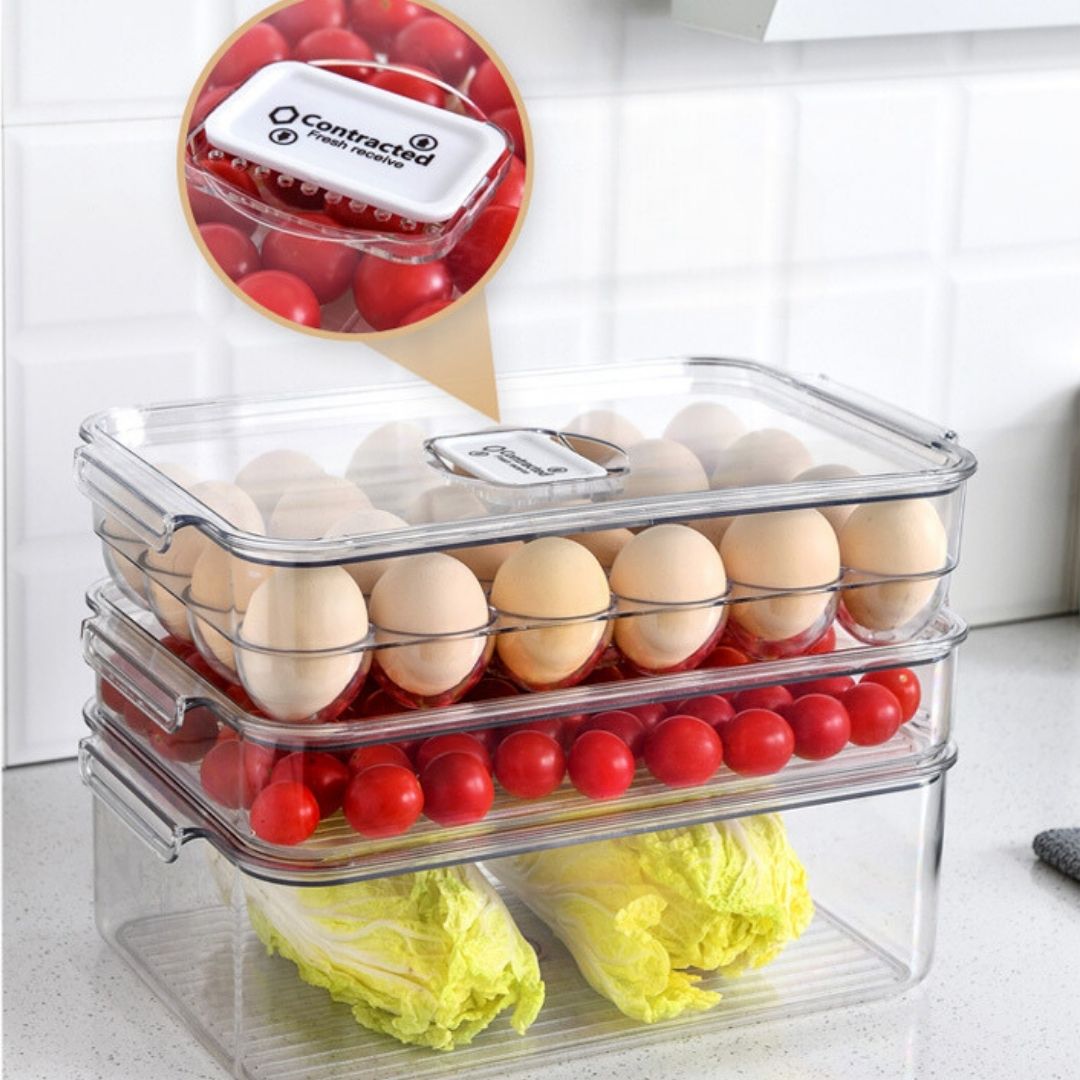 TerraFresh Fridge Stack Refrigerator Storage Box Fresh Food Fridge ...