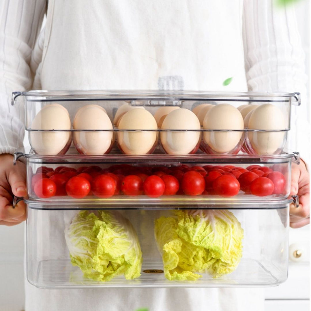 TerraFresh Fridge Stack Refrigerator Storage Box Fresh Food Fridge ...