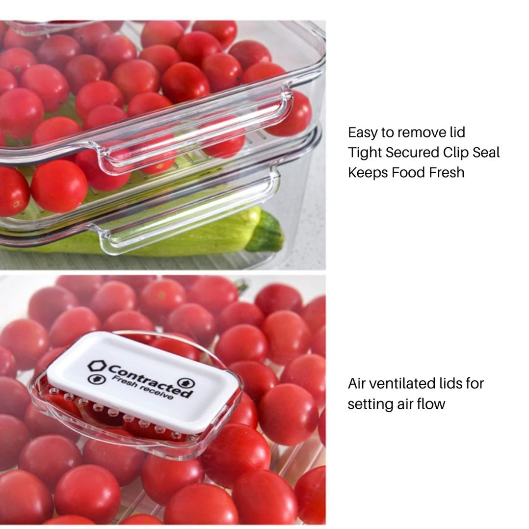 TerraFresh Fridge Stack Refrigerator Storage Box Fresh Food Fridge ...