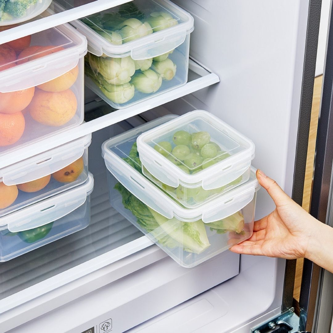 TerraFresh Lock It Rectangle Plastic Food Container with lid — The Home ...