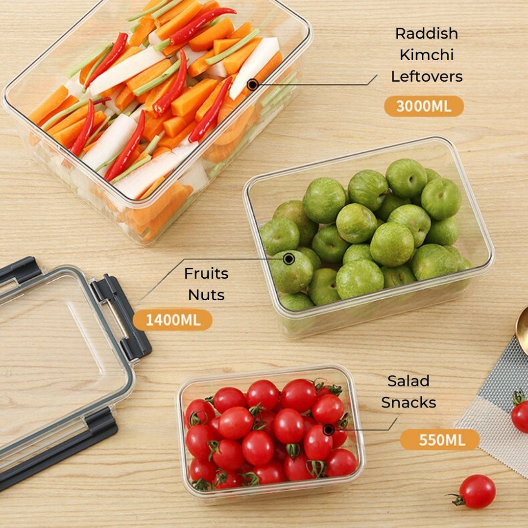 TerraFresh Snap Fresh Rectangle Food Container with lid — The Home Shoppe